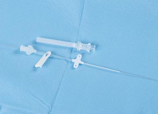 The Seldinger technique - Vygon Vet